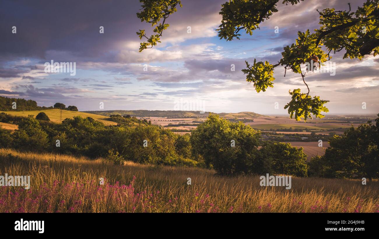 Luton dunstable hi-res stock photography and images - Alamy