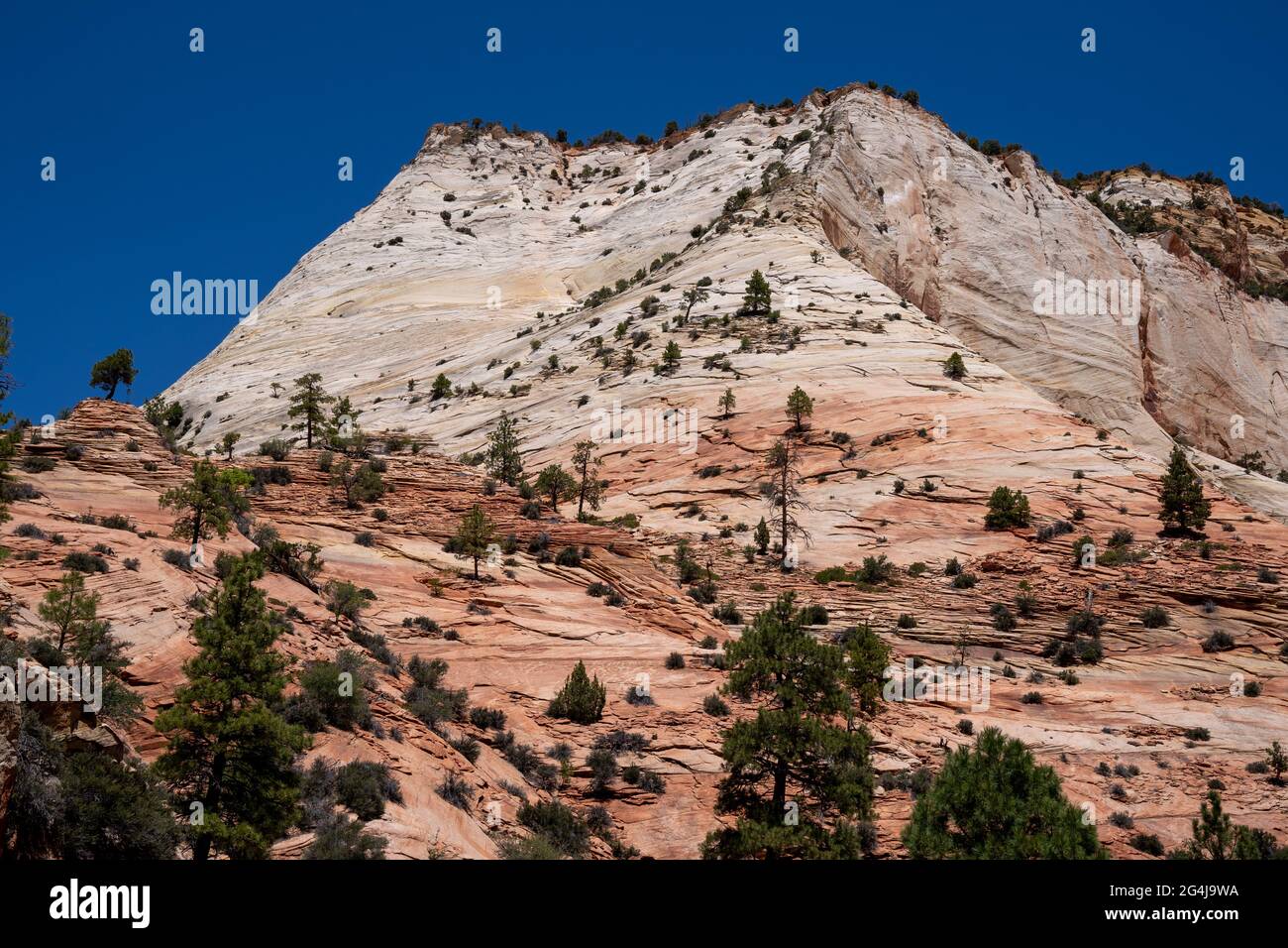 Scenic view of Zion National Park in Utah, at the Zion Mt Carmel scenic drive on a sunny day ...