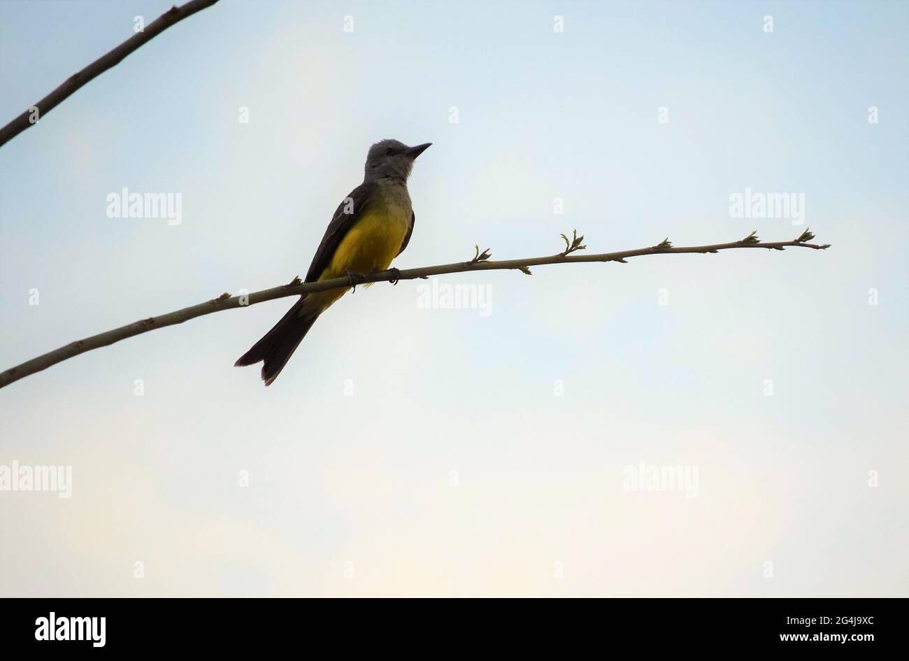 Sol luz sol hi-res stock photography and images - Alamy