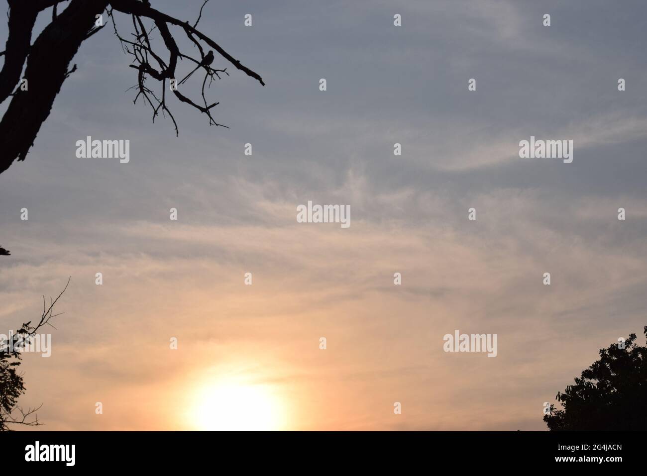 Luz do sol hi-res stock photography and images - Alamy