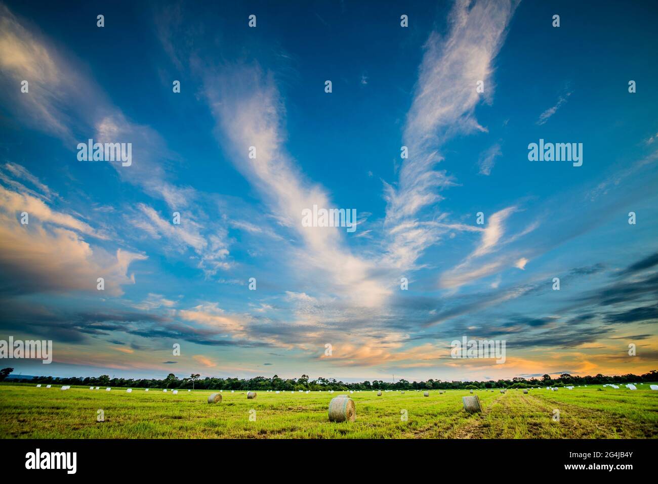 Beautiful landscape, the sunset over a hayfield, Brazilian Pantanal ...