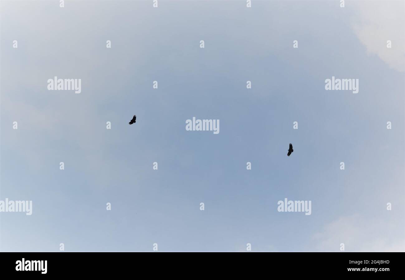 Voo voo hi-res stock photography and images - Alamy