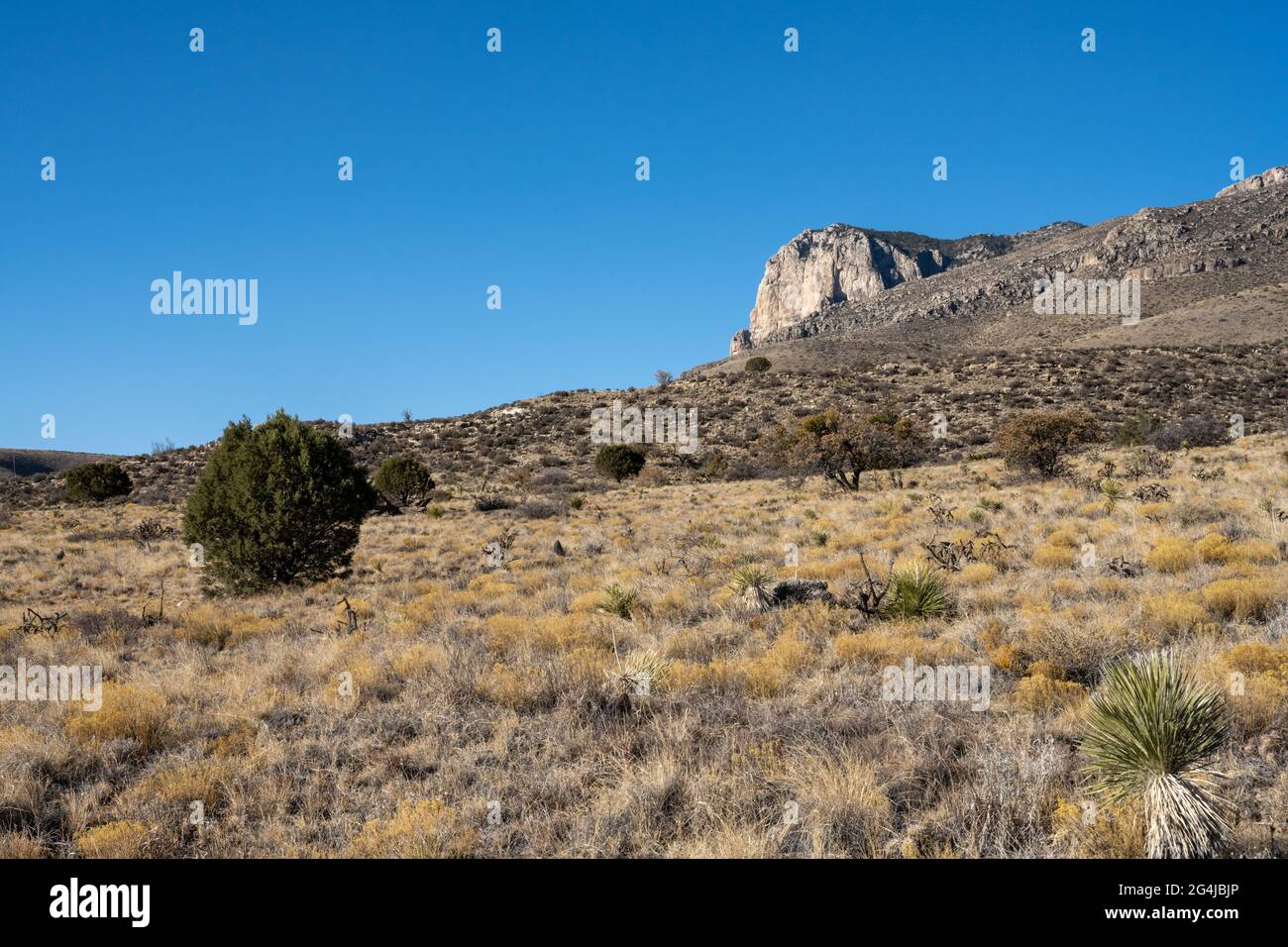 Capitan reef hi-res stock photography and images - Alamy