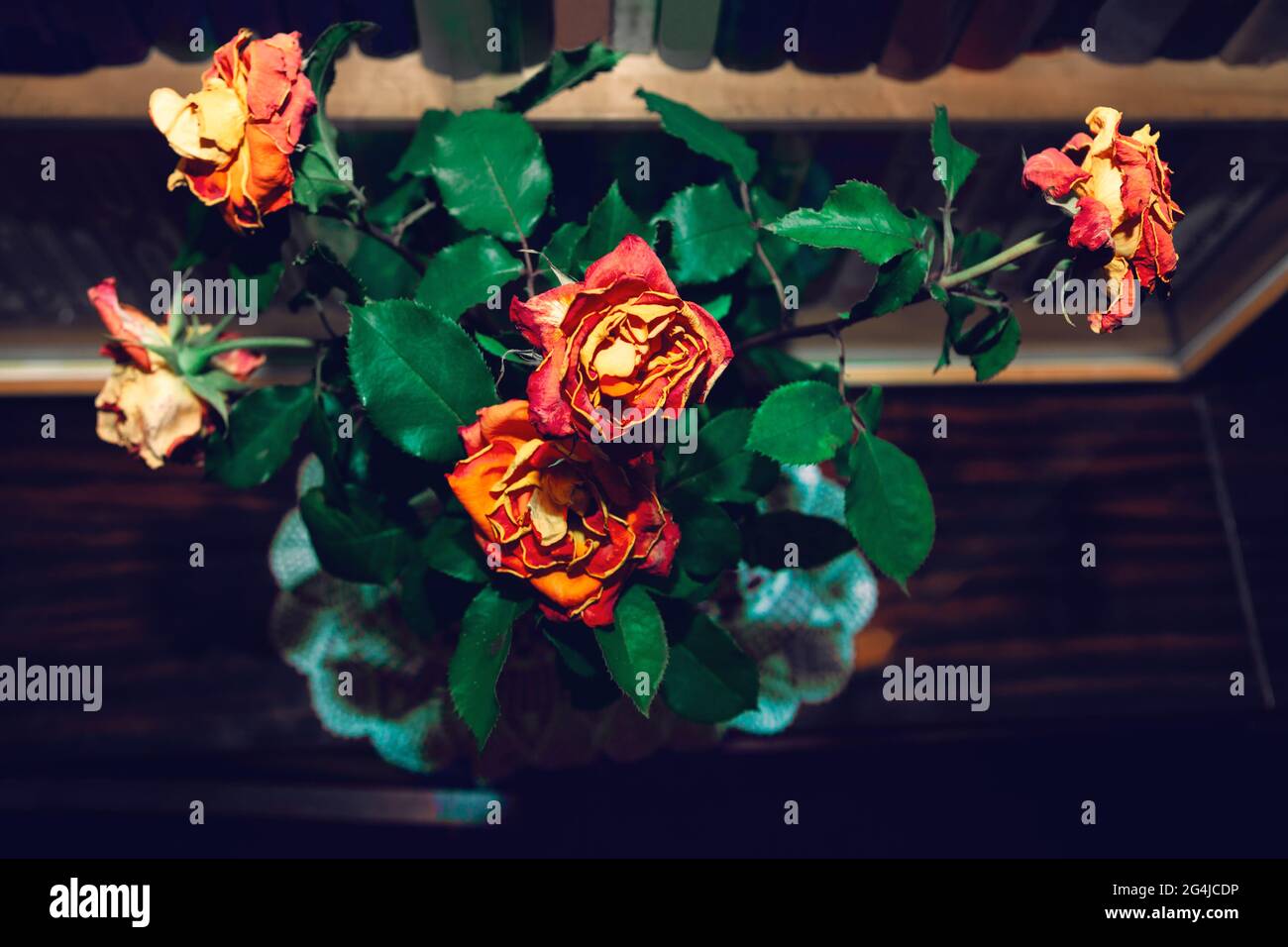 Roses and books in the library Stock Photo - Alamy