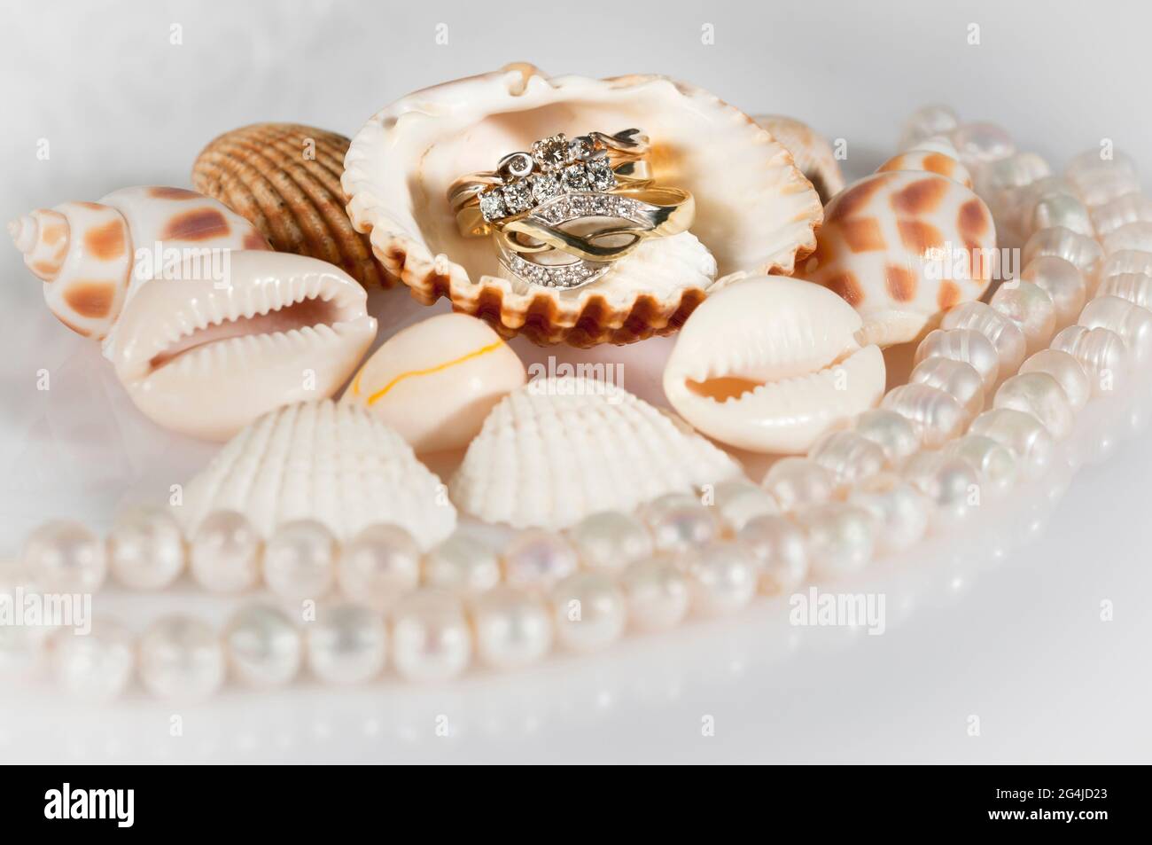Ring of seashells hi-res stock photography and images - Alamy