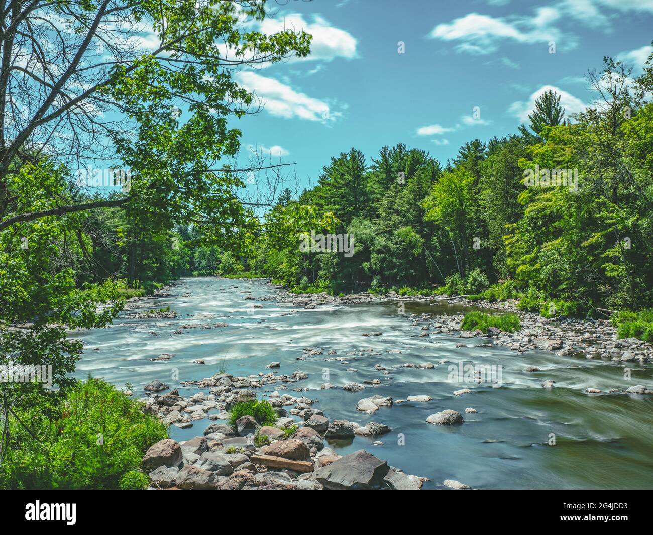 River in Canada, rapids, nature, national park Stock Photo - Alamy