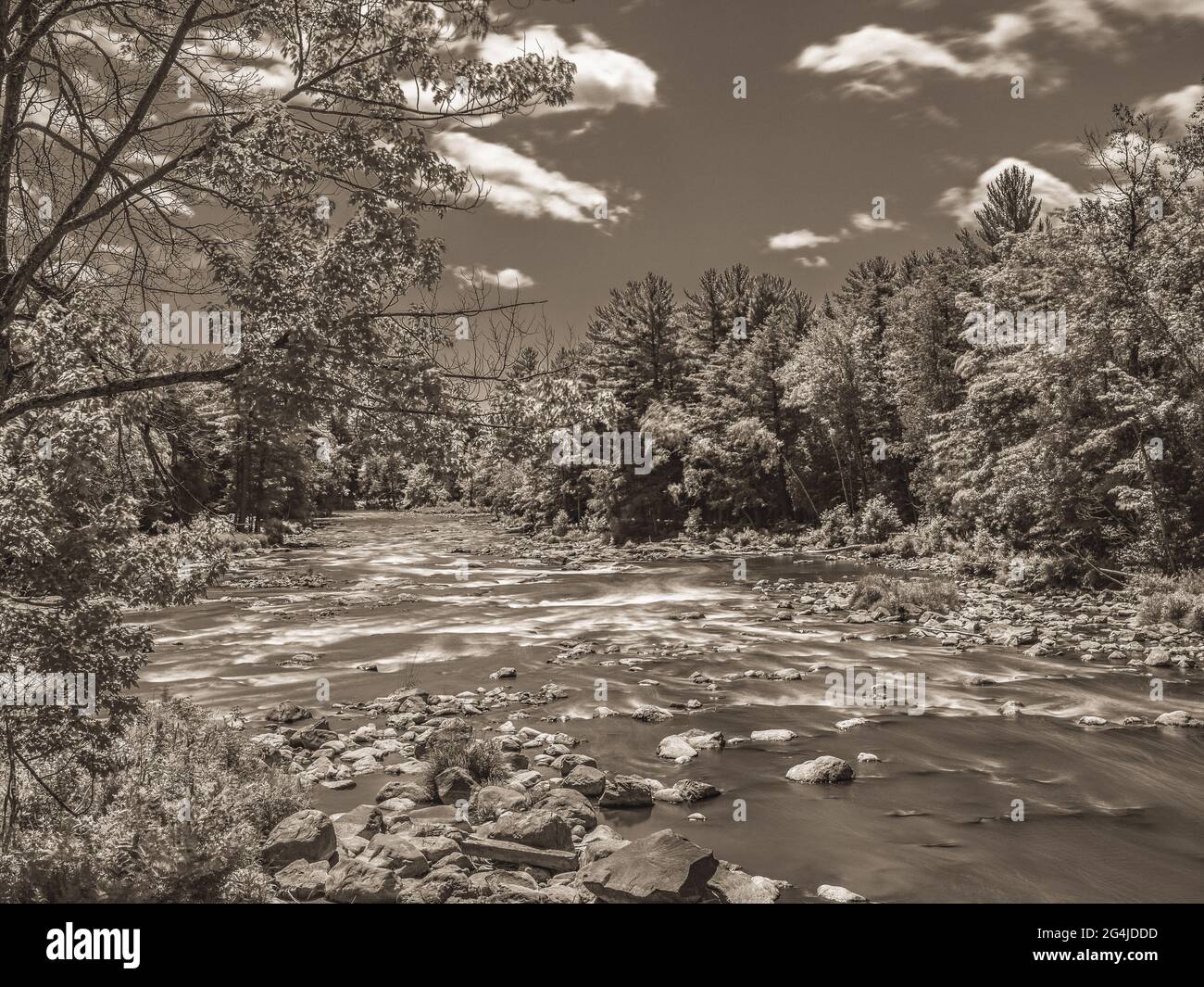 River in Canada, rapids, nature, national park Stock Photo - Alamy
