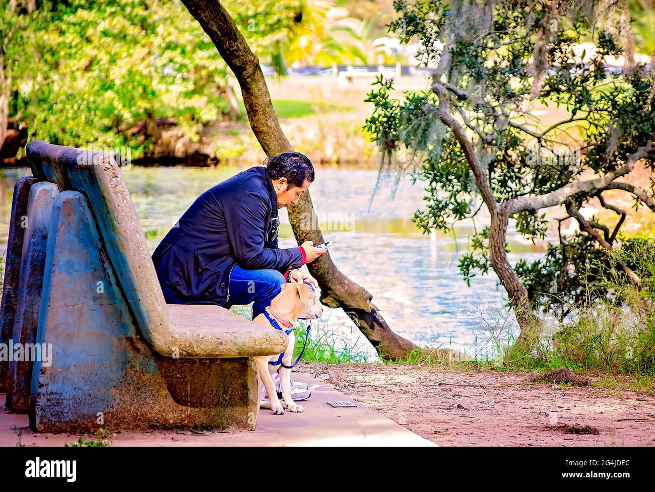 Man ignoring dog hi-res stock photography and images - Alamy
