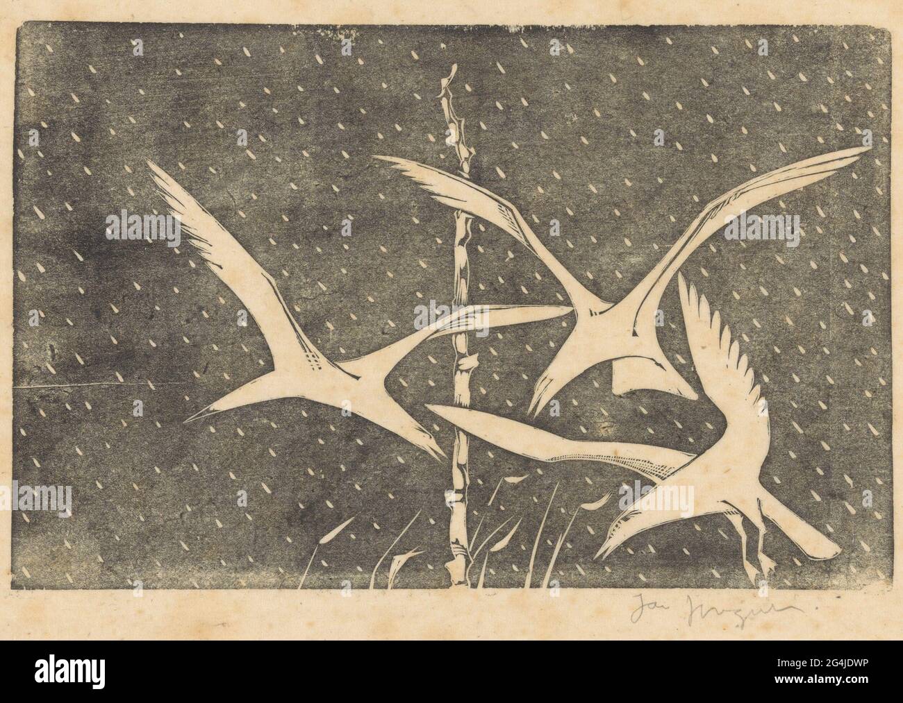 Three birds flying in the rain Stock Photo - Alamy