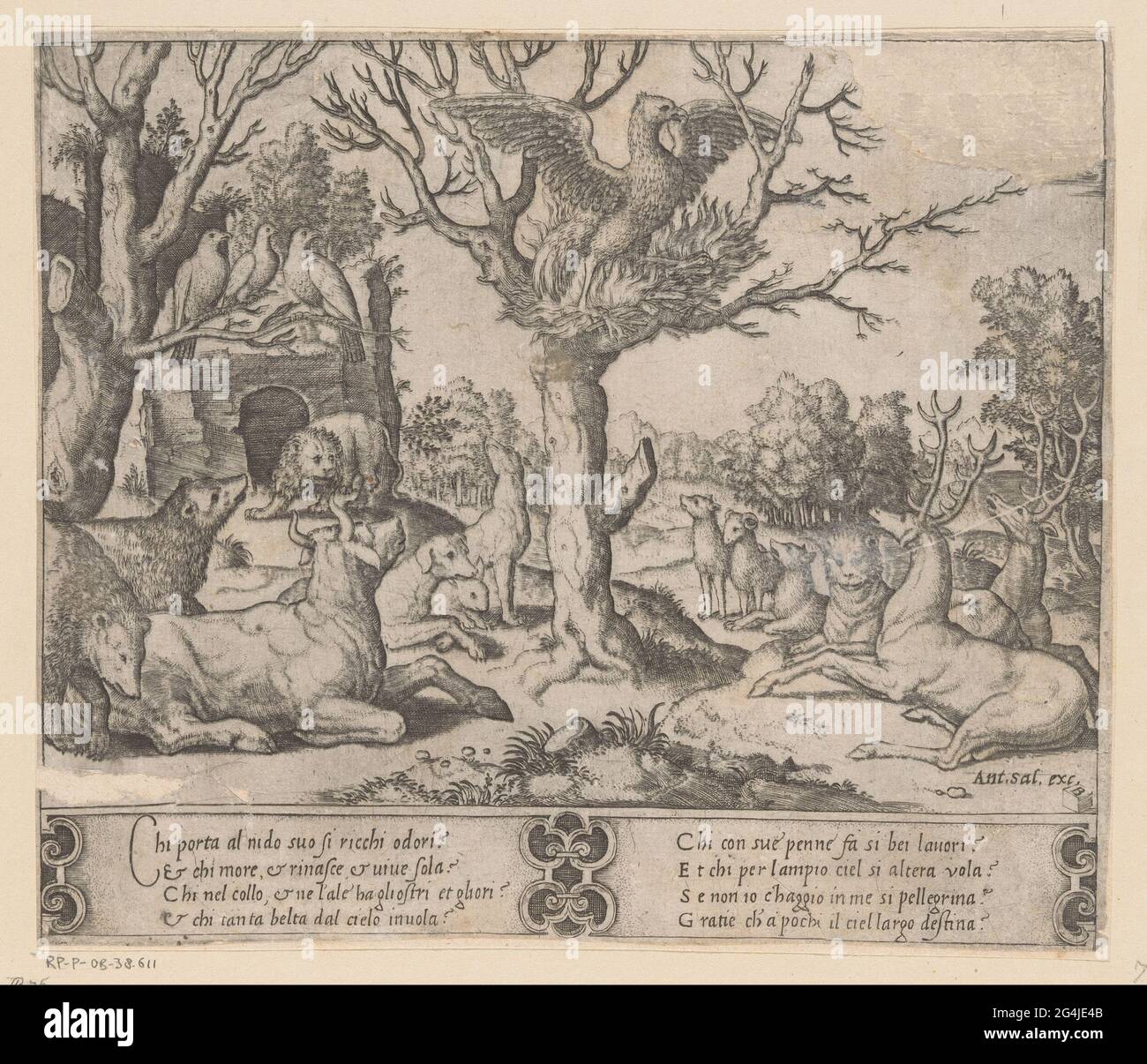 Phoenix. An herself burned phoenix in a tree surrounded by other ...