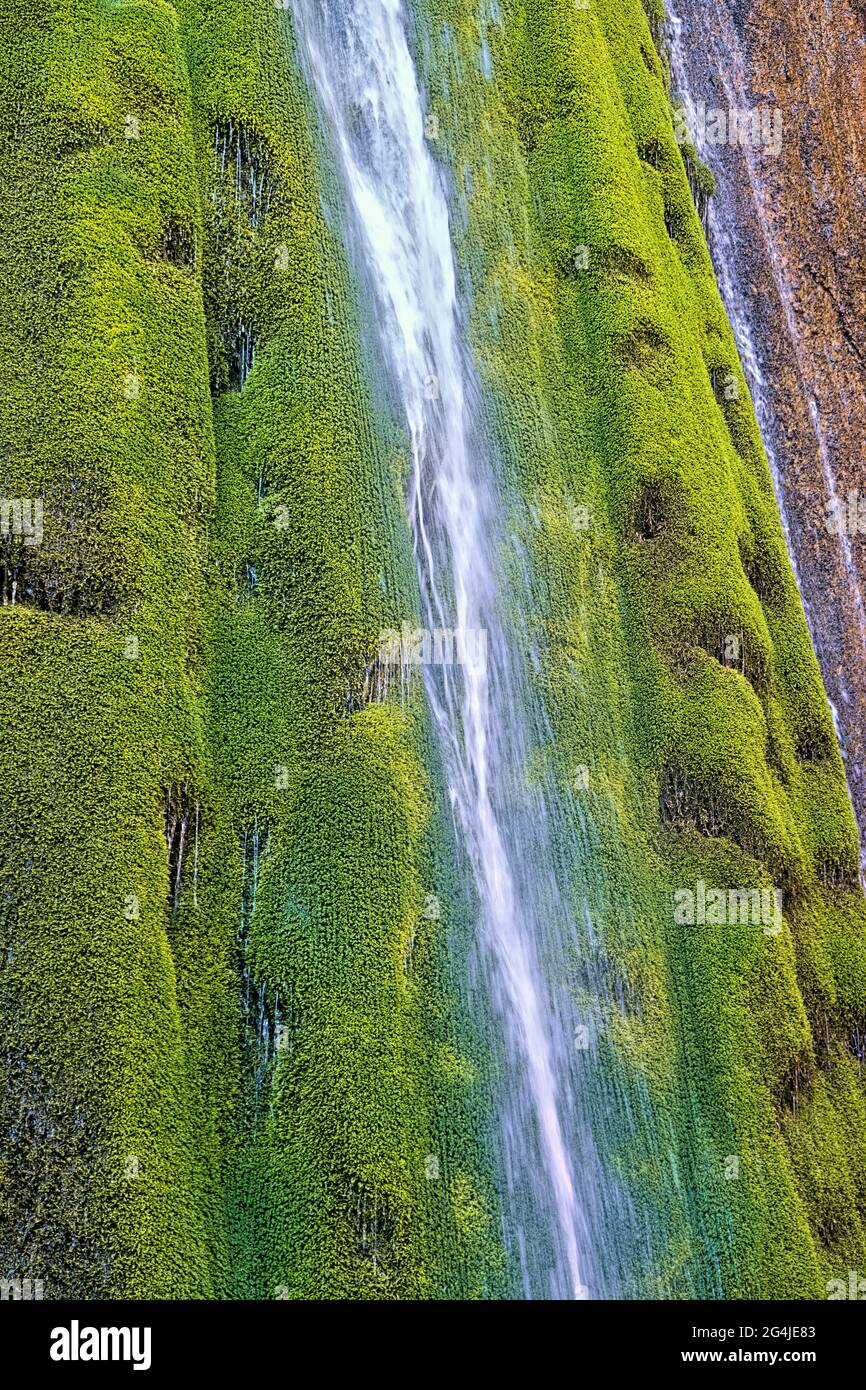 Moss on Ribbon Falls, Grand Canyon National Park, Arizona, U.S.A Stock ...