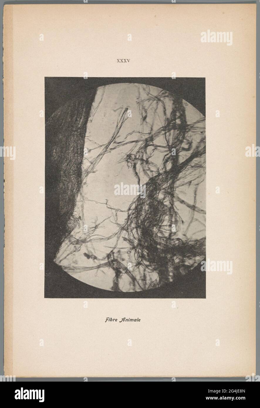 Animal based technology hi-res stock photography and images - Alamy