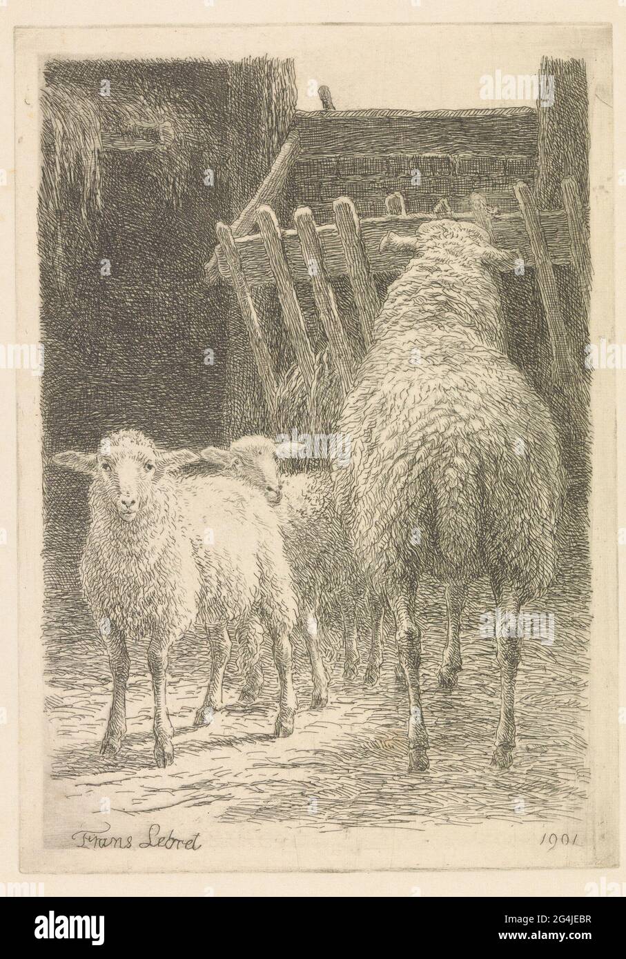 Sheep and two lambs in a stable. Two lambs and a sheep in a stable. The ...