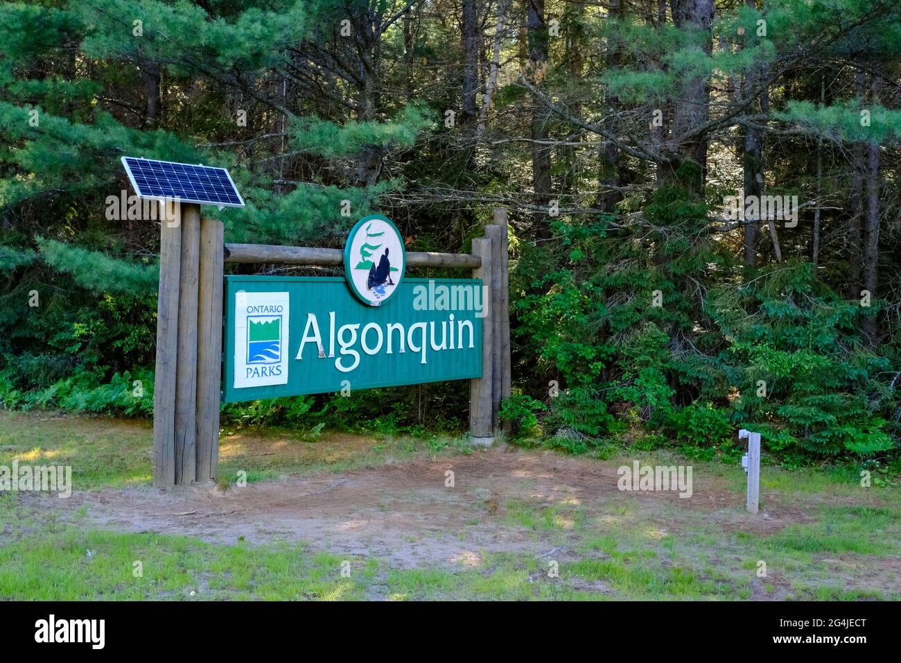 Algonquin Provincial Park, Ontario, Canada - June 16, 2021: An wooden ...