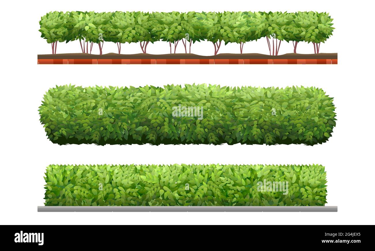 Park garden shrub hedge Stock Vector Images - Alamy