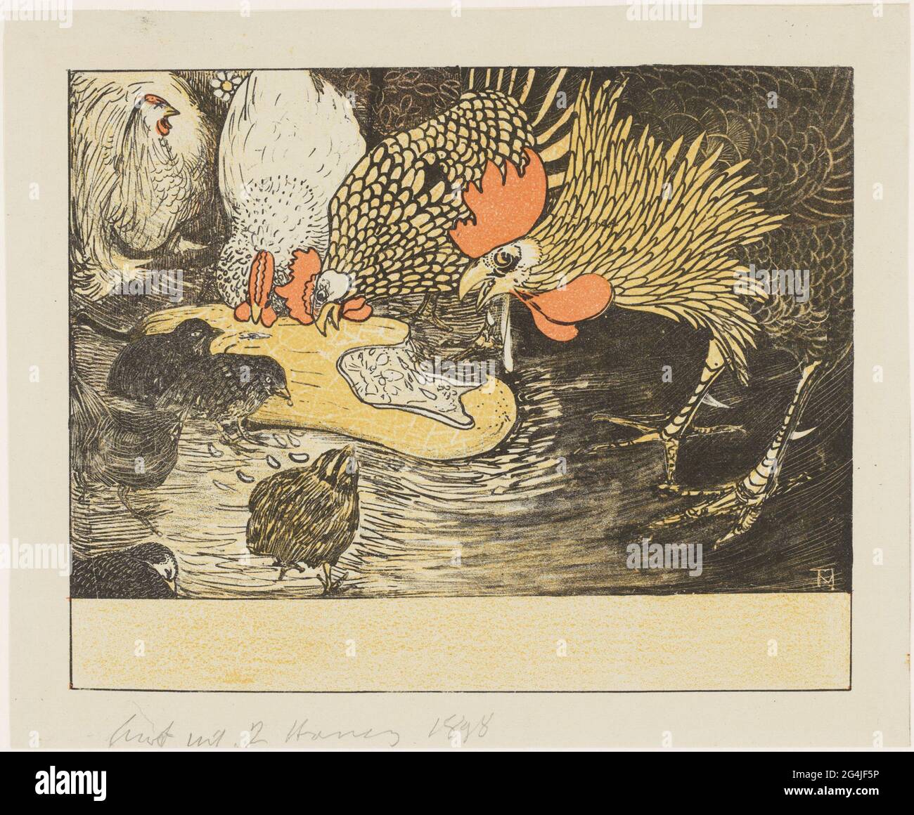 Roosters and chicks. Roosters and chicks peck in a pickle Stock Photo ...