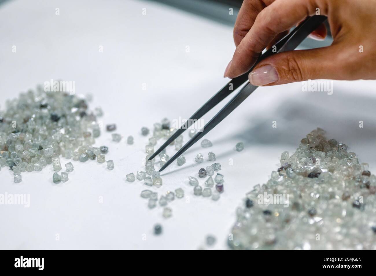 Hand sorting hi-res stock photography and images - Alamy