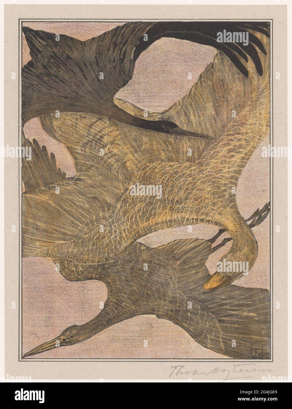 Three flying birds. The birds fly through each other Stock Photo - Alamy