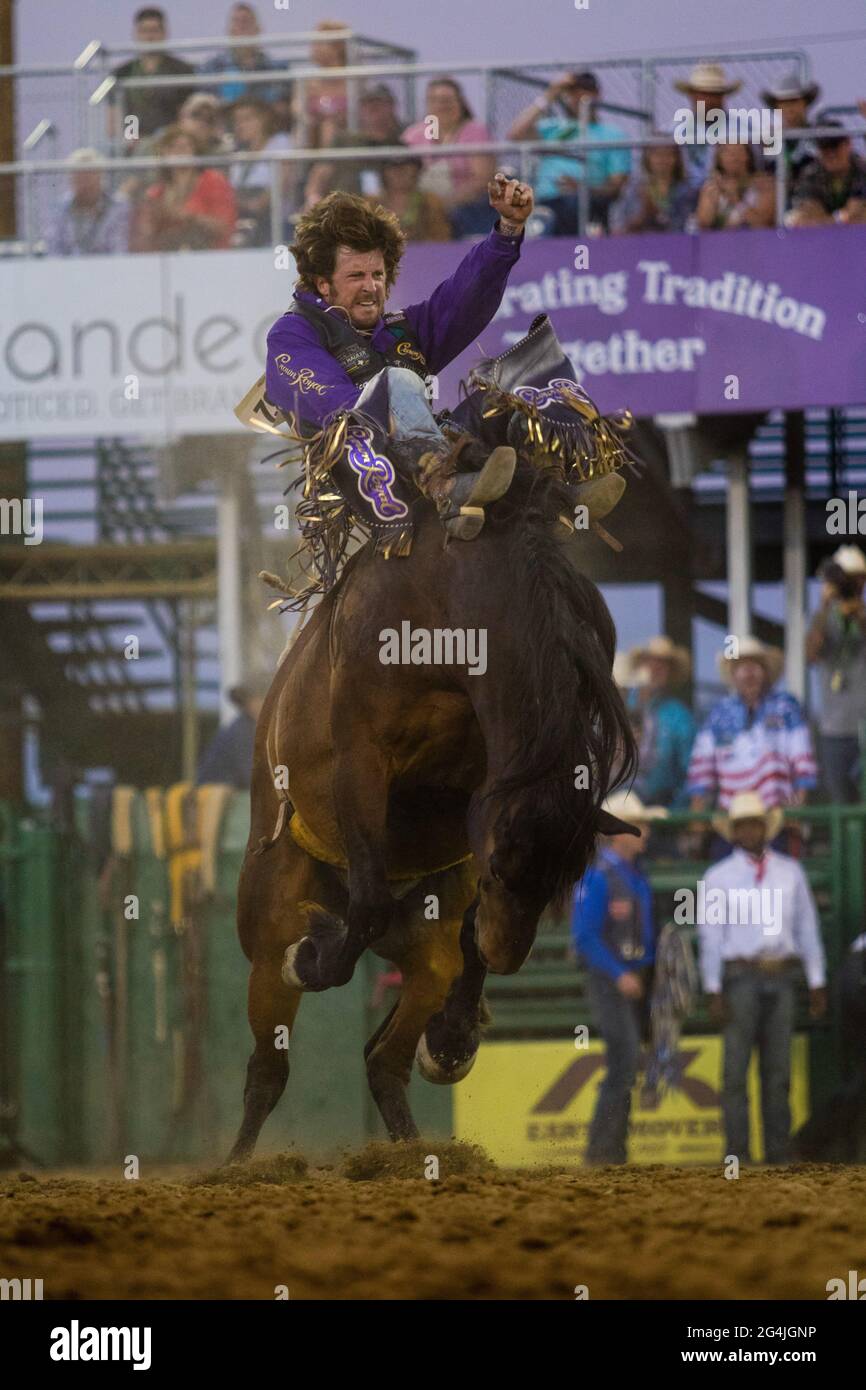 Bareback Bronc Riding High Resolution Stock Photography and Images - Alamy