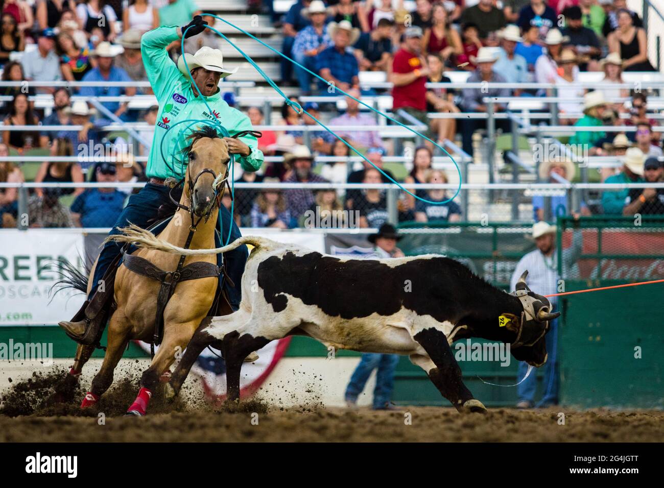 Reno, United States. 20th June, 2021. Sid Sporer in the team roping ...