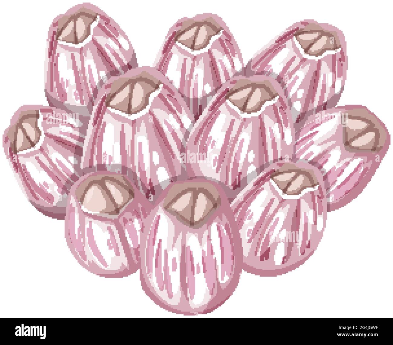 Barnacles Clipart