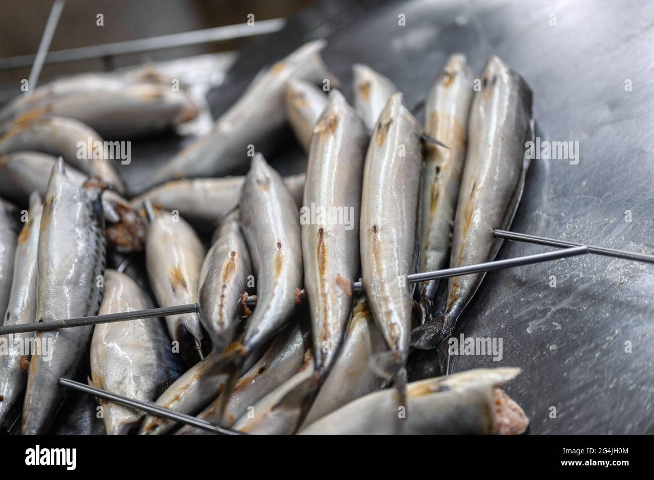 Mackerel carcasses strung on metal rods. Fish processing and smoking ...