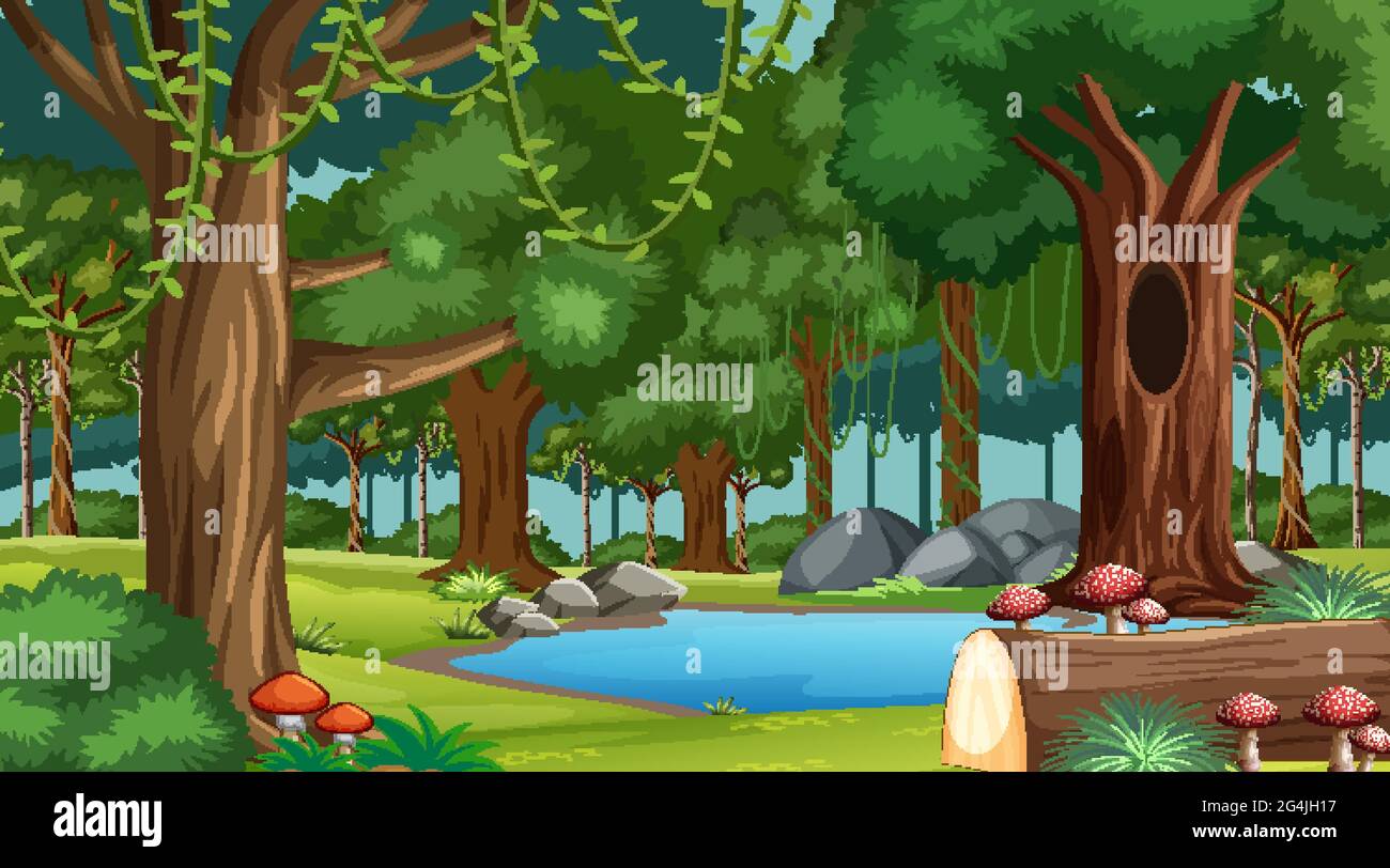 Forest landscape scene with various forest trees illustration Stock ...