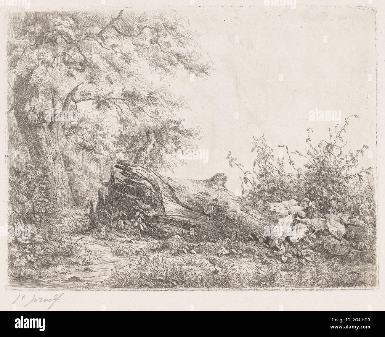 Forest five etching tests hi-res stock photography and images - Alamy