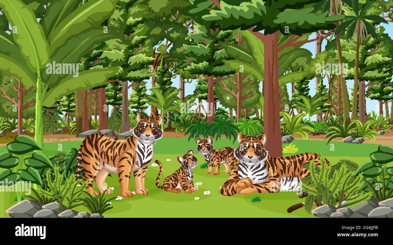 Tiger Family in the forest scene with many trees illustration Stock Vector Image & Art - Alamy