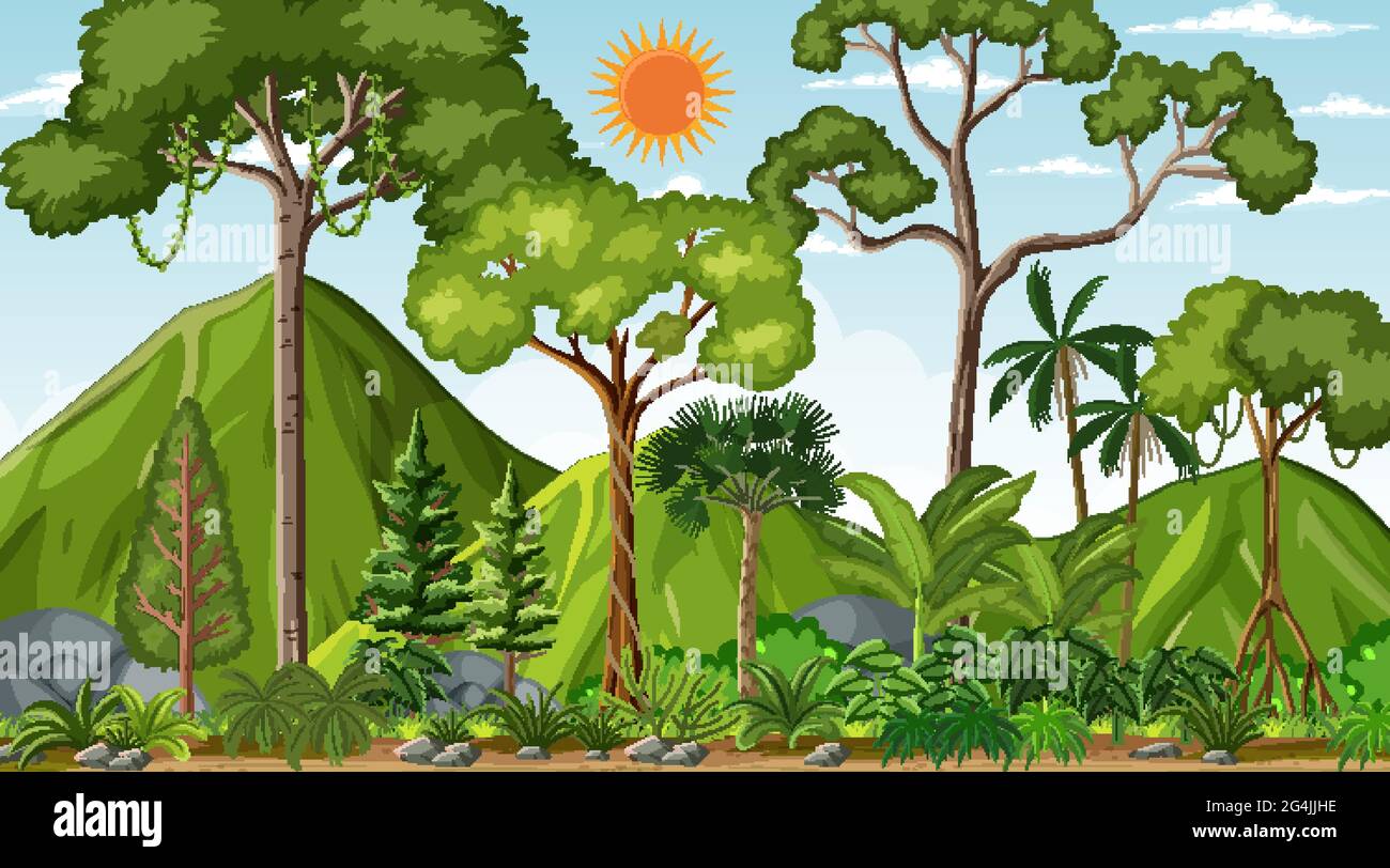 Forest landscape scene at day time with many different trees ...