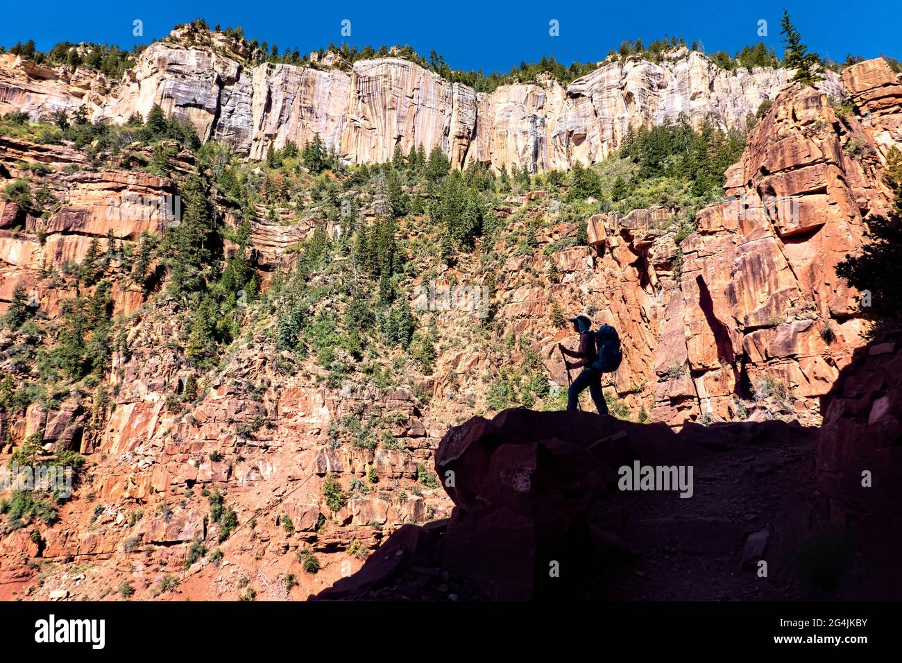 On the North Kaibab Trail, Grand Canyon National Park, Arizona, U.S.A ...