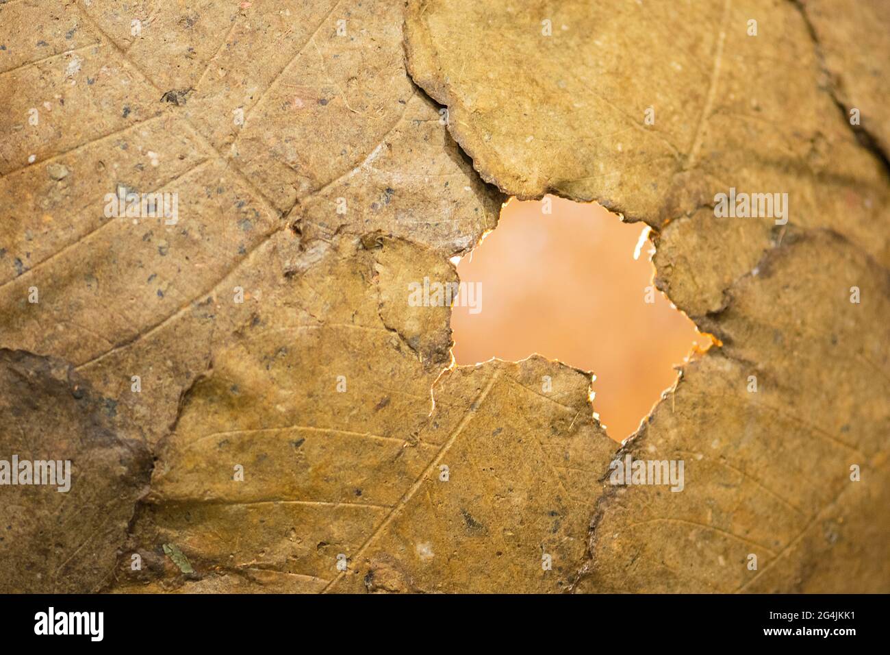 Abstract background,clay texture, environment background Stock Photo ...