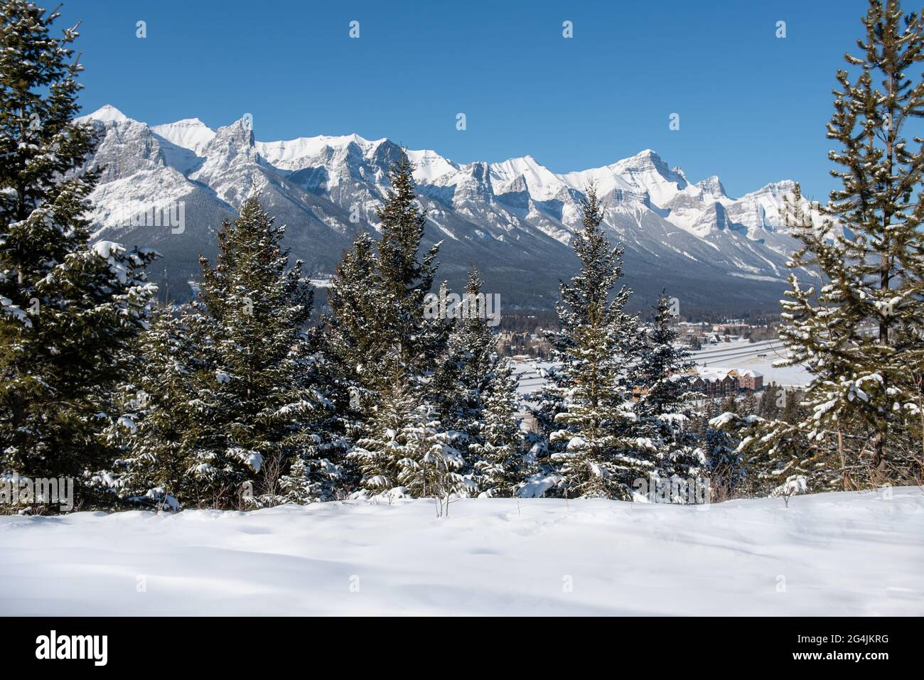 Beautiful shot of snow-covered forest and mountains in Canmore, Canada ...