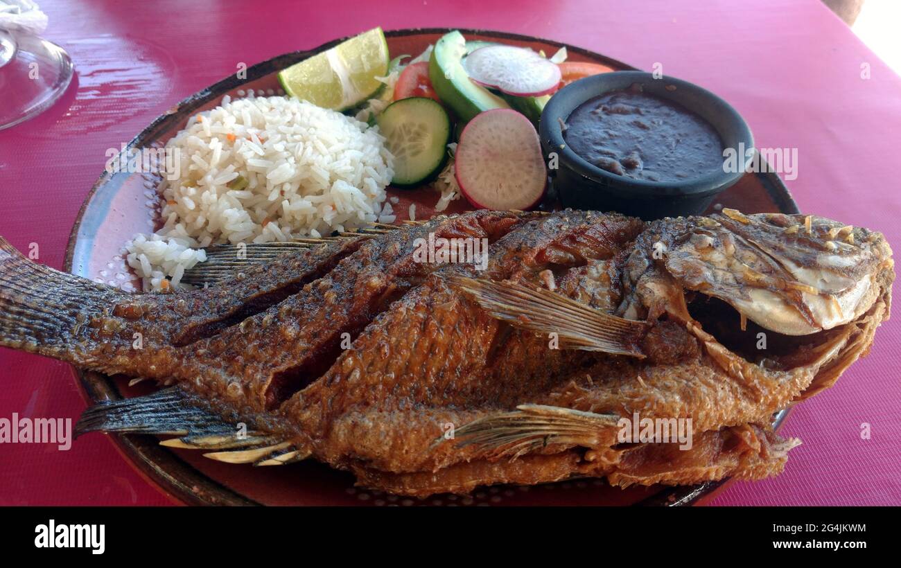 Deep fried fish with garnishes on a plate - Tulum, QR, Mexico Stock ...