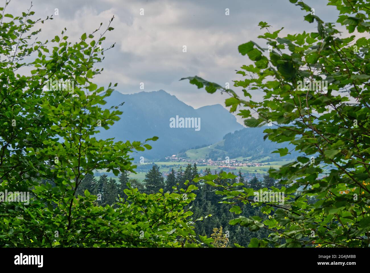 Beautiful shot of mountains seen through tree branches in the Allgau ...