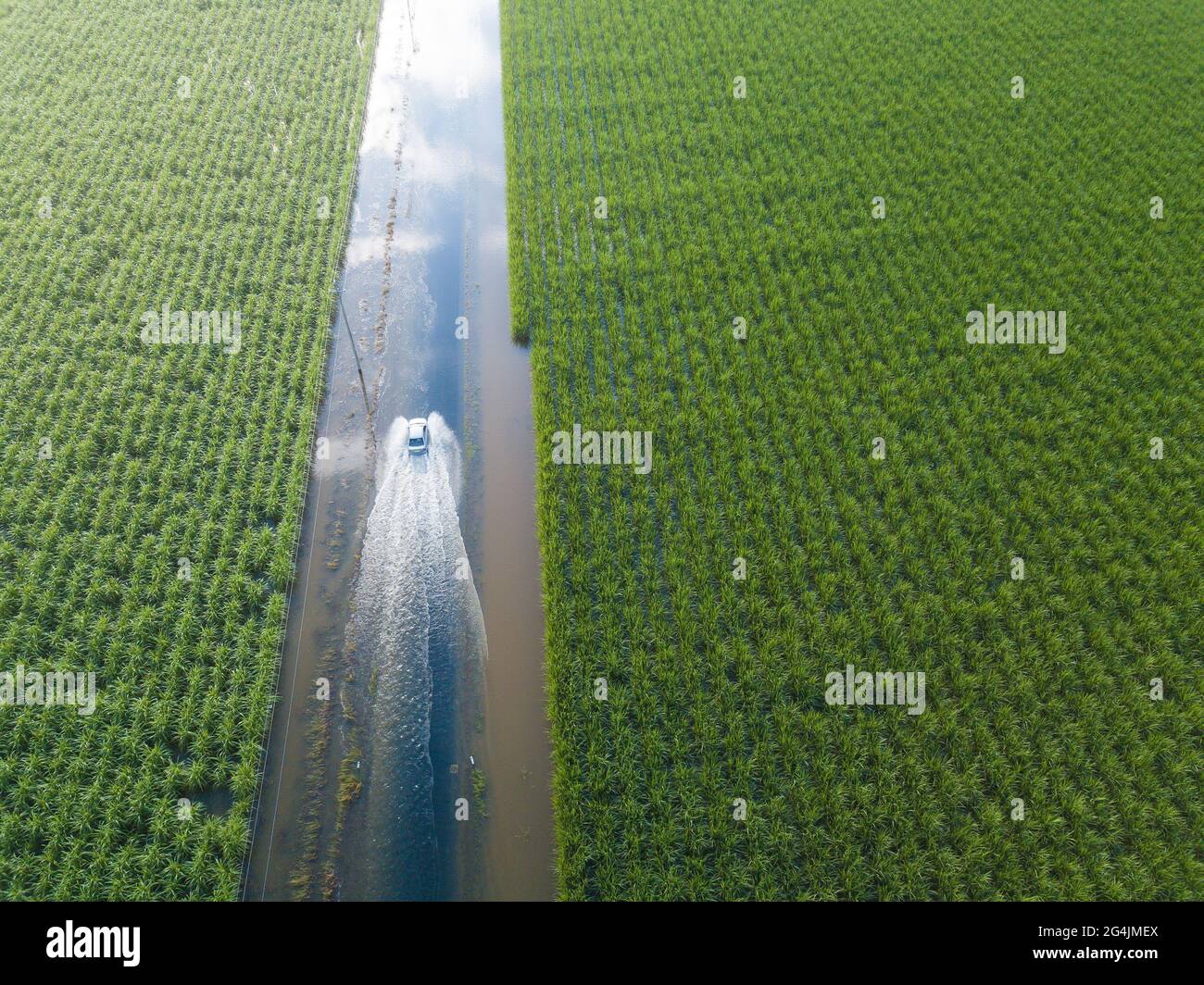 Australian ute vehicle hi-res stock photography and images - Alamy