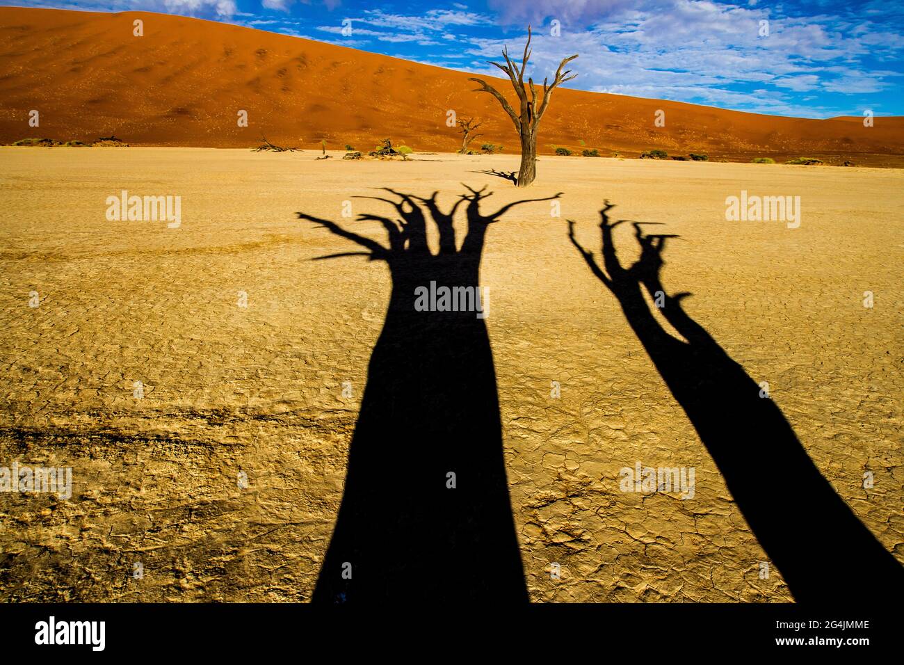 Dead pan look hi-res stock photography and images - Alamy
