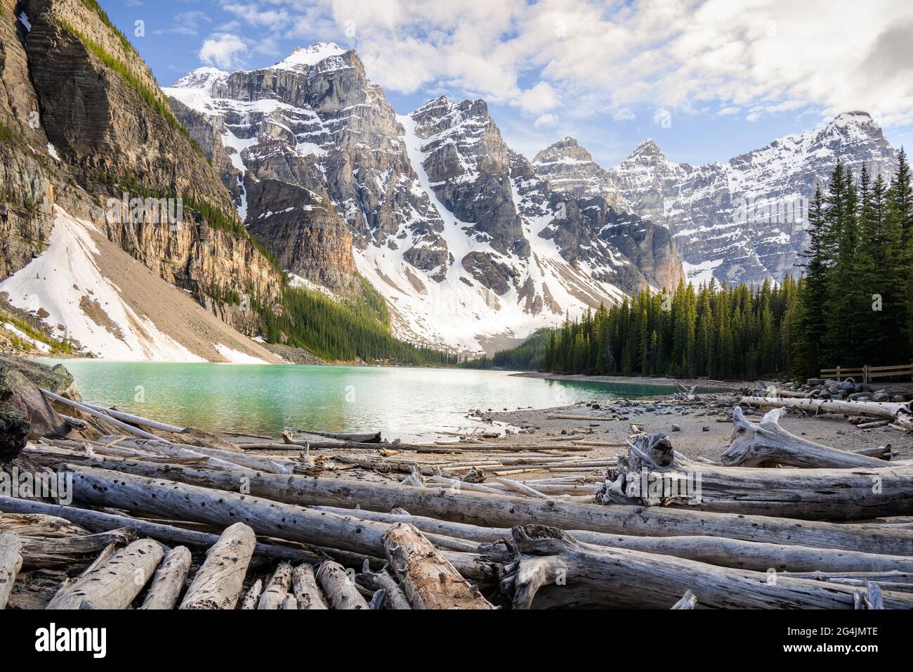 Logs on the shore of turquoise Lake Moraine in Banff National Park at ...
