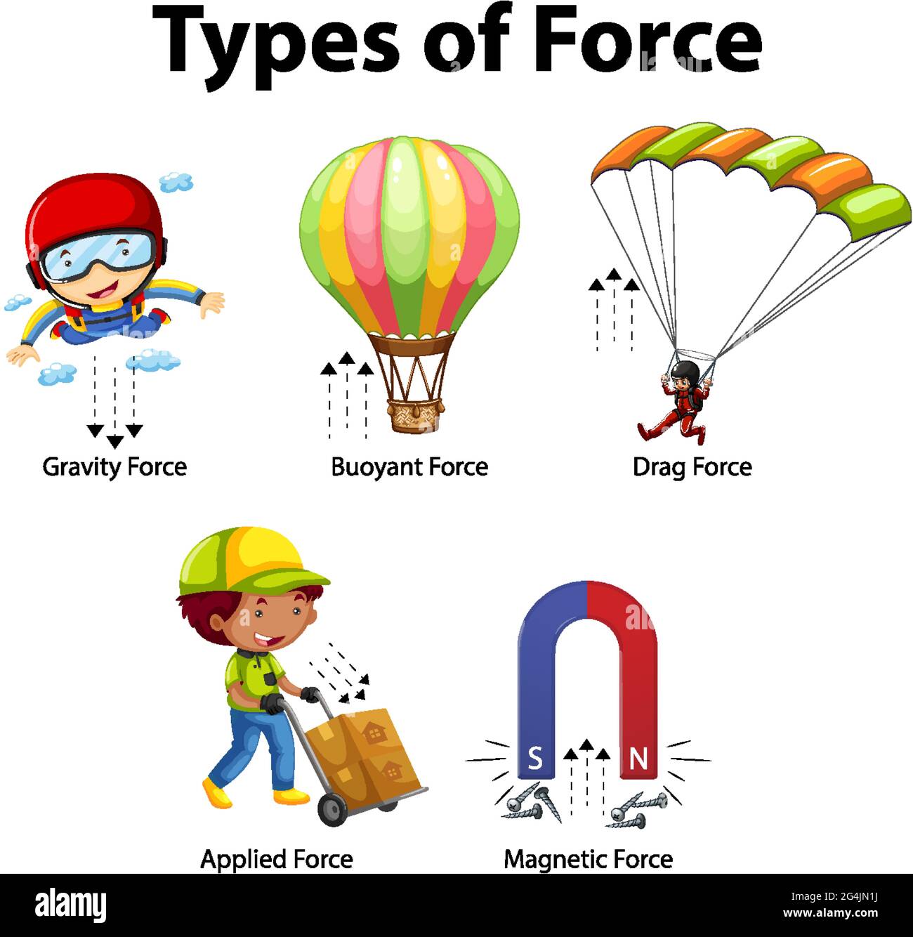 Types of force for children physics educational poster illustration ...