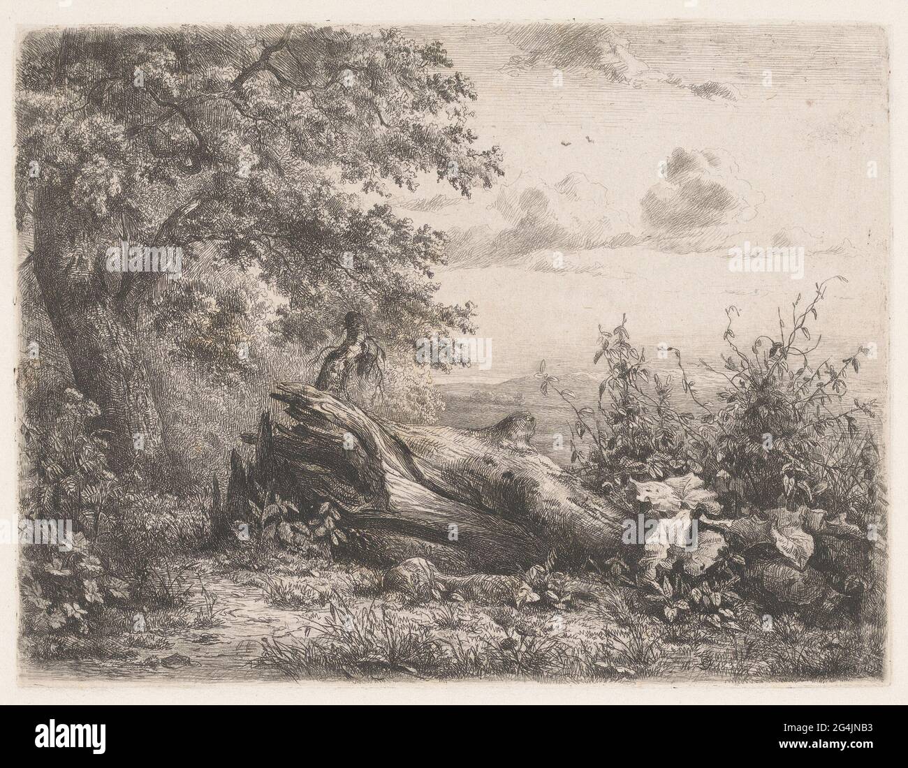 Forest five etching tests hi-res stock photography and images - Alamy