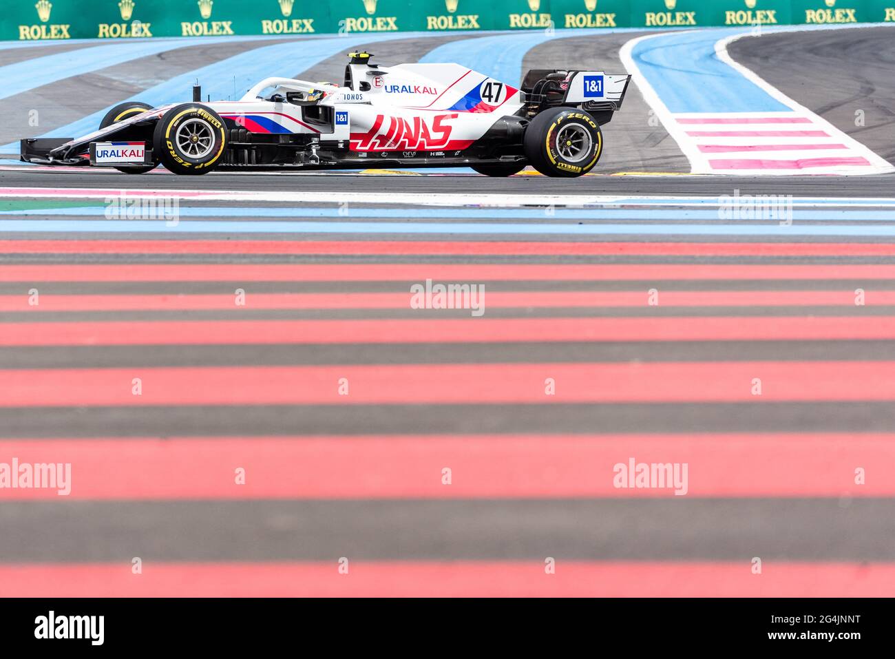 Team margot hi-res stock photography and images - Alamy