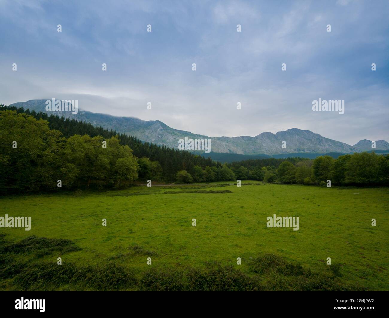 Harmonious scene of a green landscape with woods and mountains in the ...