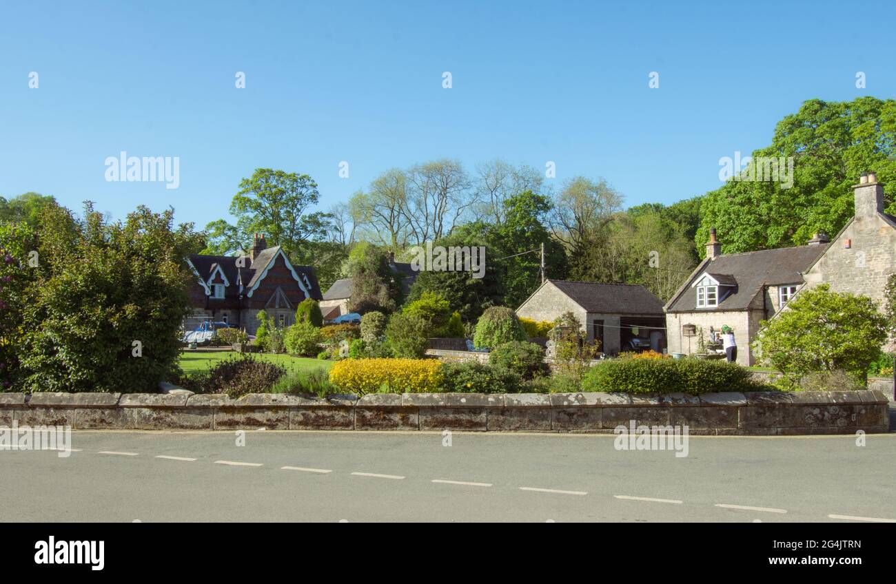 Closeup shot of the Ilam Park Dovedale & the White Peak, the UK Stock ...