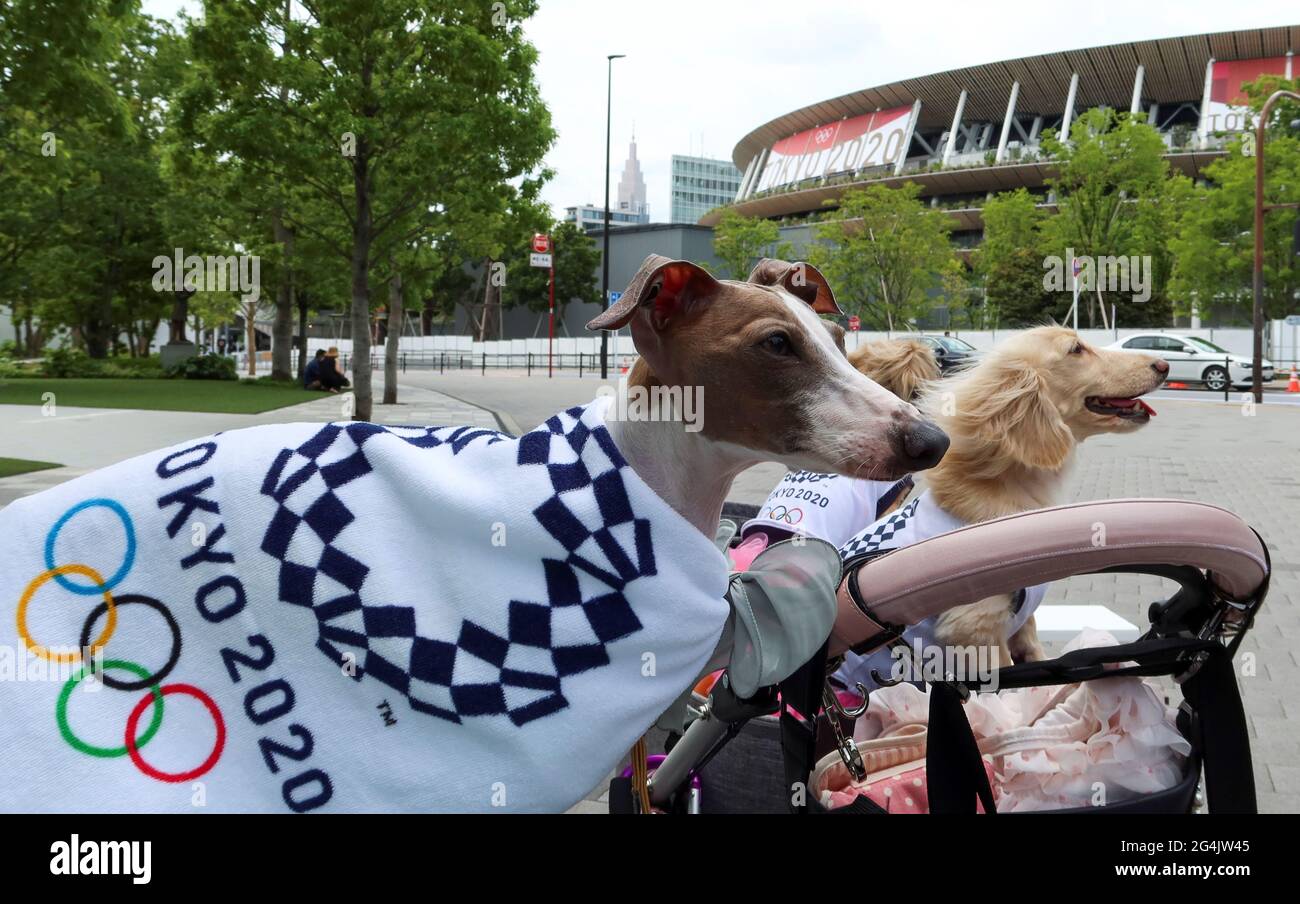 The olympic games logo stadium tokyo hi-res stock photography and ...