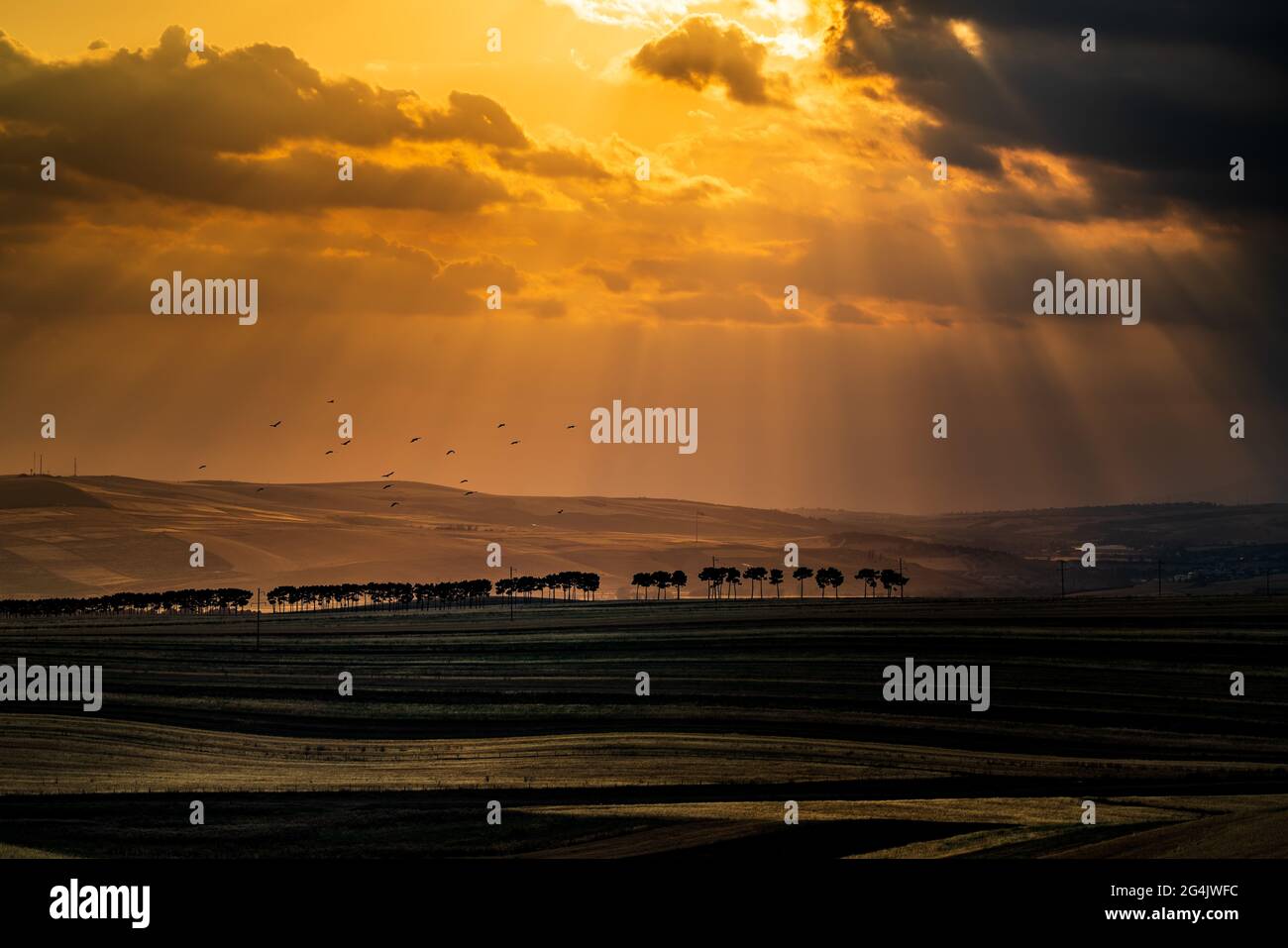 Dramatic sunset over farm fields Stock Photo - Alamy