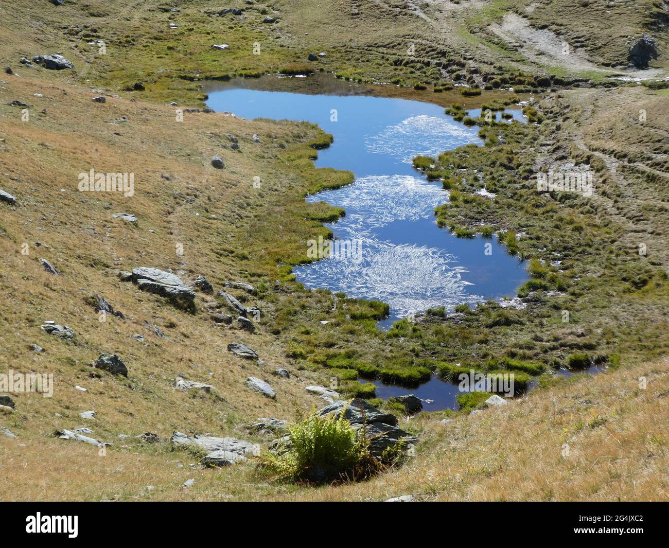 Maira hi-res stock photography and images - Alamy