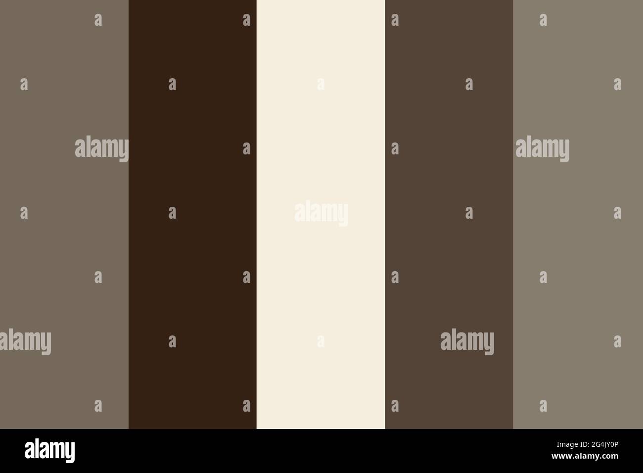 Chocolate Brown Color Swatch