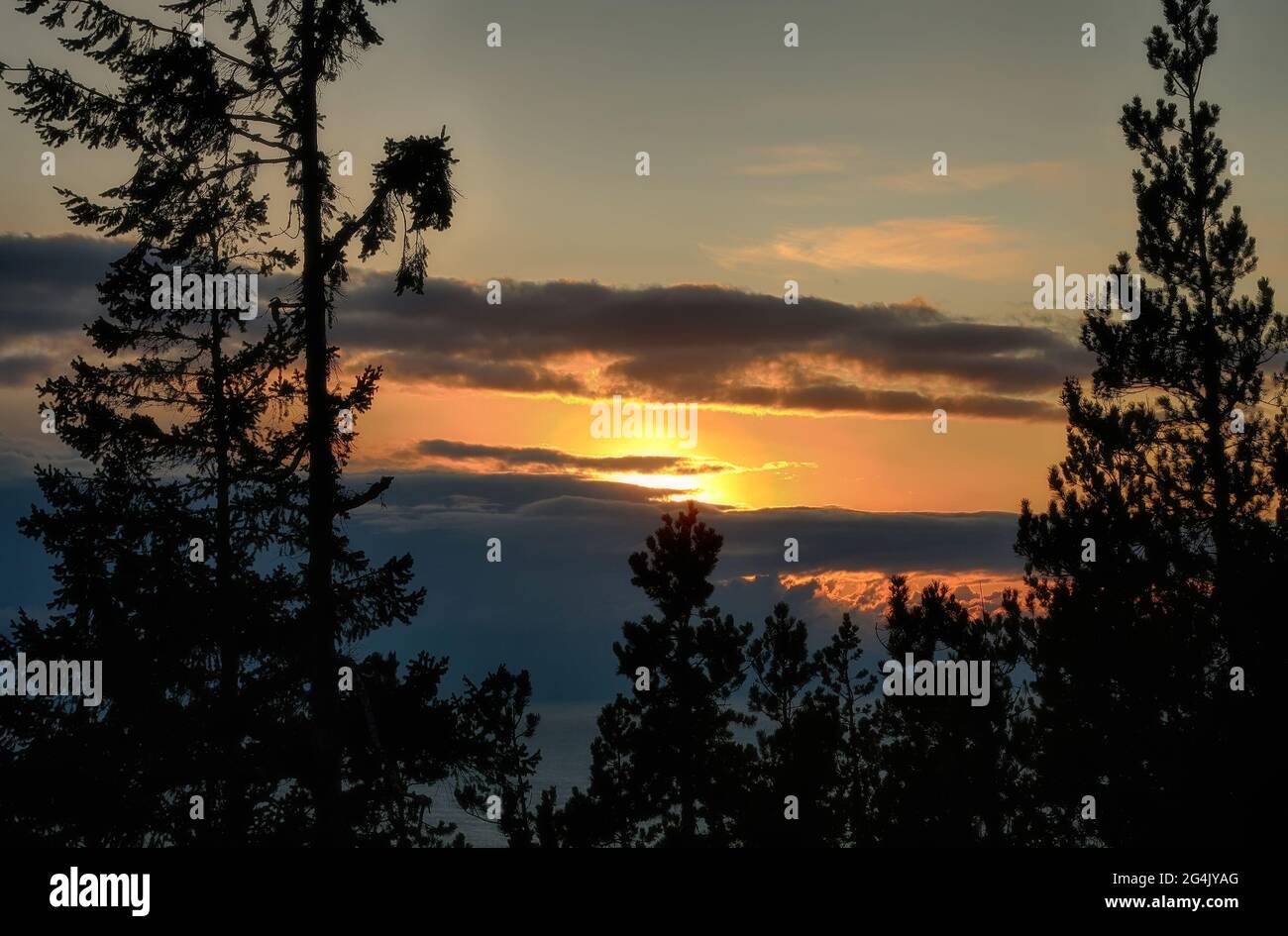 Bc forest hi-res stock photography and images - Alamy