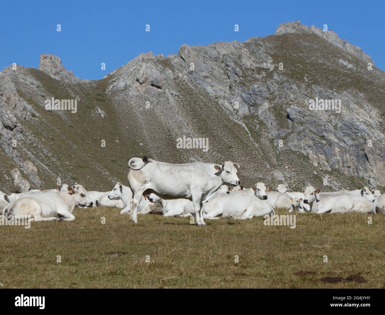 Taurus Mountain Range High Resolution Stock Photography and Images - Alamy