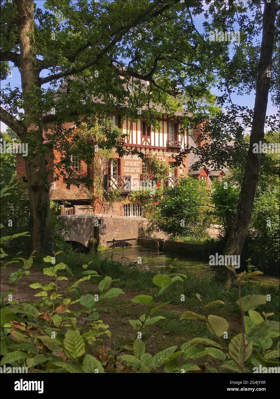 Down House Near Tree